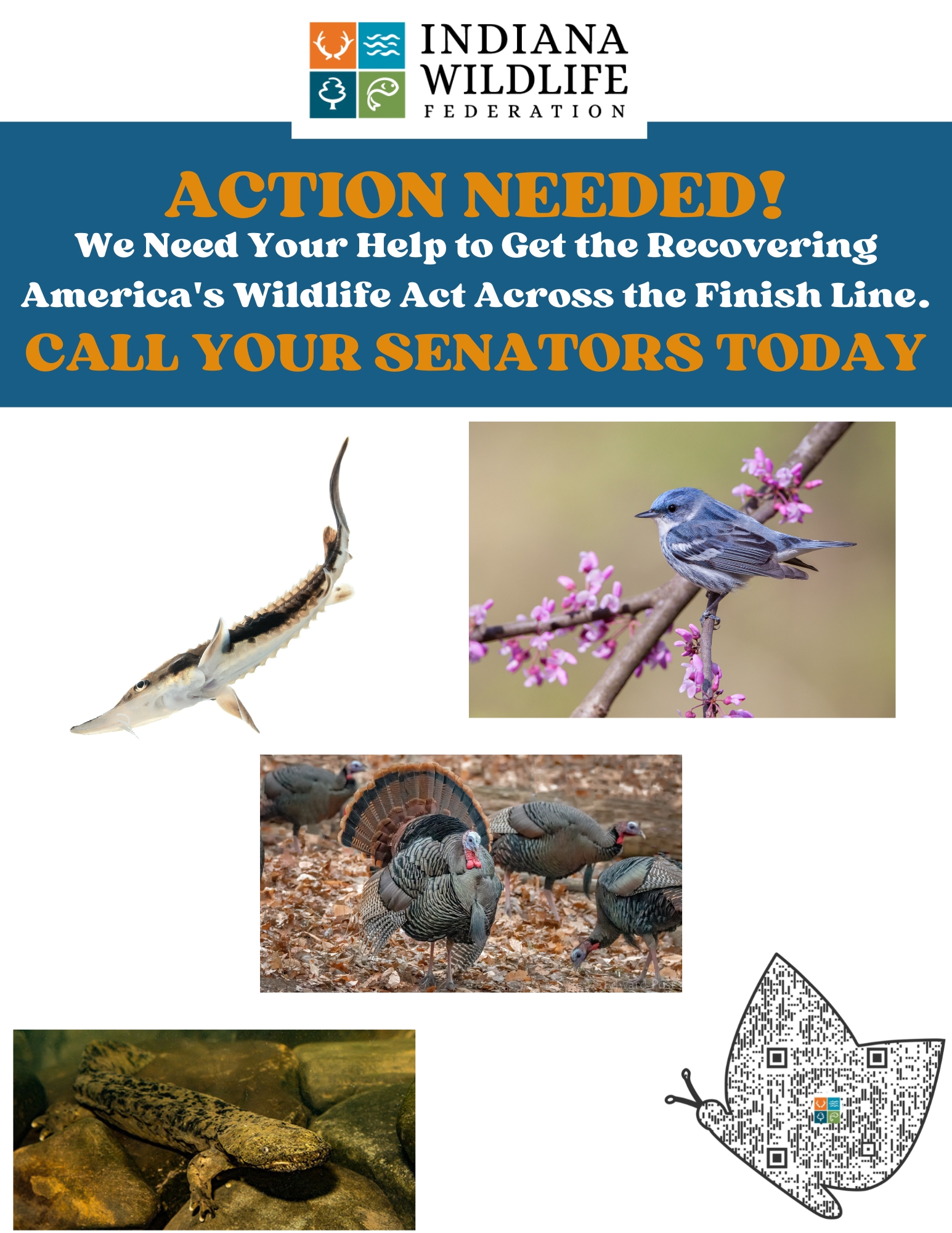 Help Get RAWA Across the Finish Line! - Indiana Wildlife Federation