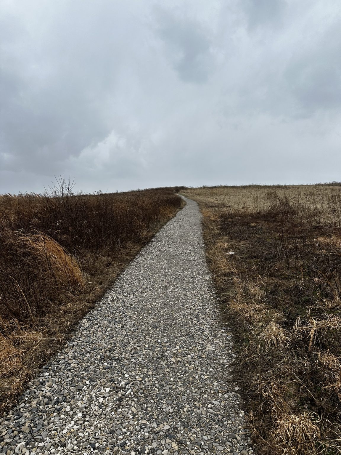 Marsh Madness (Sustainable Trail Dedication) - Indiana Wildlife Federation